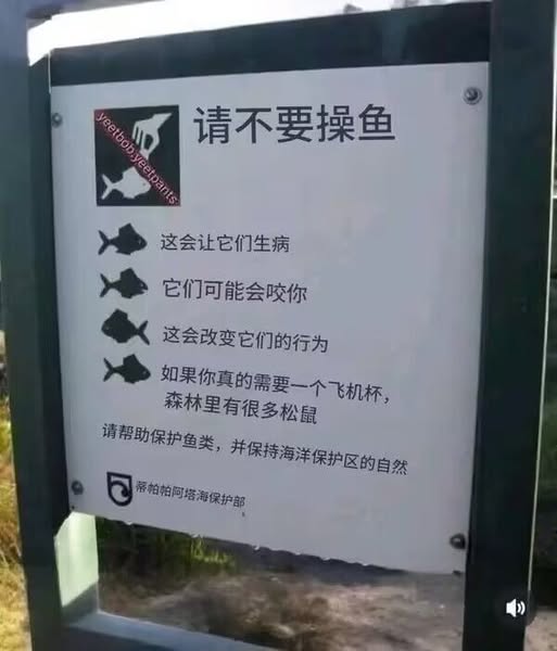 请不要艹鱼| 茶馆 - 南+ South Plus - powered by Pu!mdHd